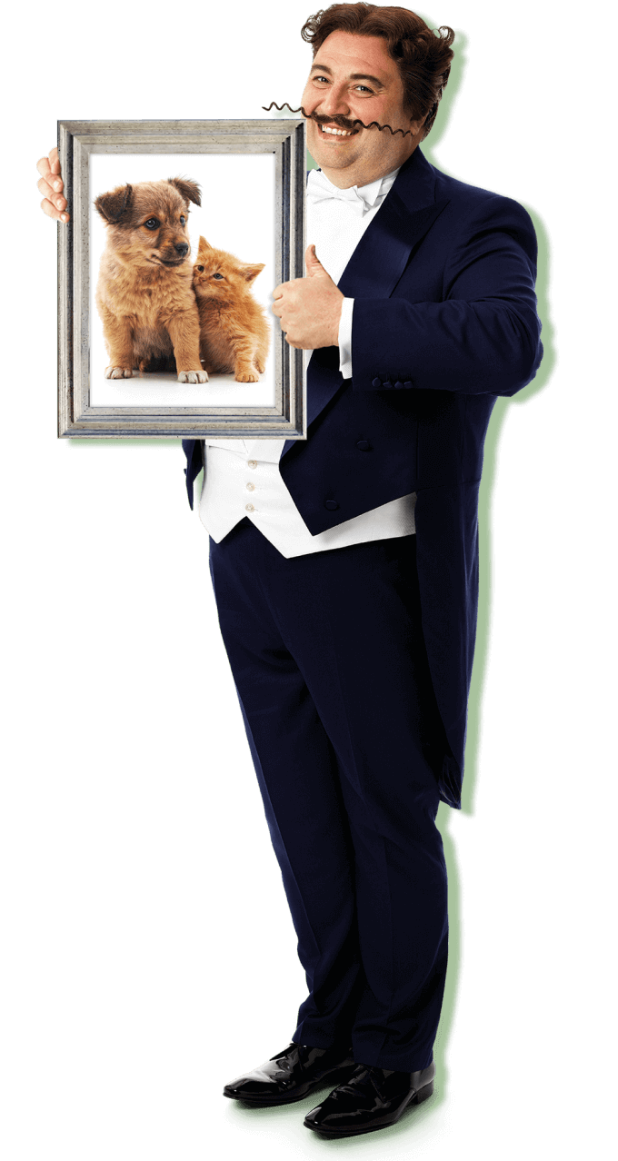 Pet Insurance for Pre-Existing Medical Conditions at GoCompare